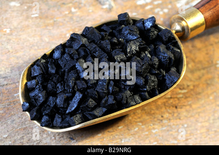 Radix Rehmannia / Shu Di Huang Stock Photo - Alamy