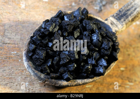 Radix Rehmannia / Shu Di Huang Stock Photo - Alamy