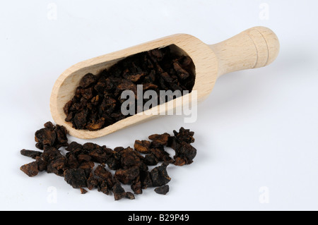 Tuber Fleeceflower Root / He Shou Wu Stock Photo - Alamy