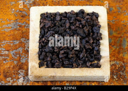 Tuber Fleeceflower Root / He Shou Wu Stock Photo - Alamy