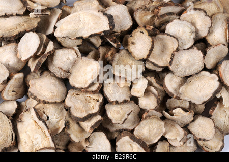 Red Paeony Root / Chi Shao Stock Photo - Alamy