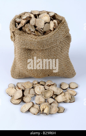 Red Paeony Root / Chi Shao Stock Photo - Alamy