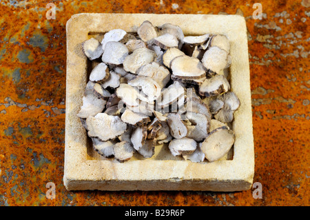 Red Paeony Root / Chi Shao Stock Photo - Alamy