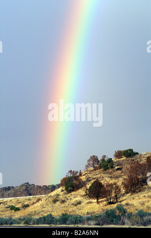 Full spectrum rainbow with reflection Stock Photo - Alamy