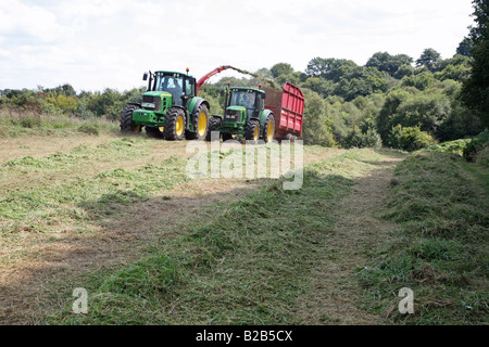 Two red tractors and a yellow trailer are in a field of golden grain ...