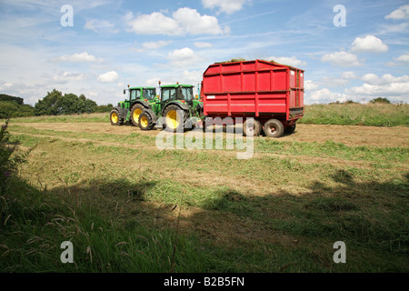 Two red tractors and a yellow trailer are in a field of golden grain ...