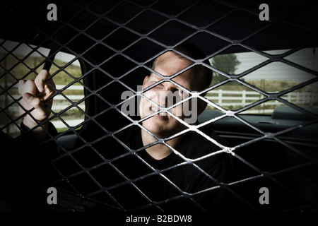 Perpetrator in back of Police car Stock Photo - Alamy