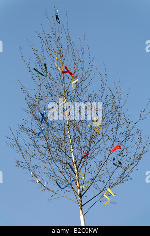 With Coloured Ribbons Decorated Maypole Stock Photo - Alamy