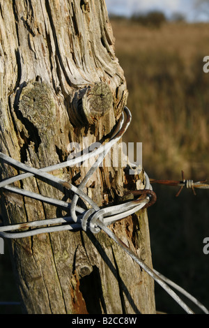 rotten wooden pole on fence outdoors in country Stock Photo - Alamy