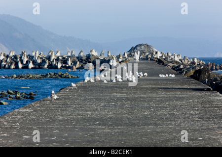 Jetty with boulders, concrete dolosse & tetrapods protecting Stock ...