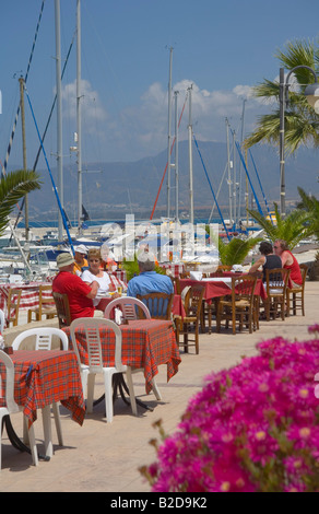 Cafe scene along harbour Cyprus, South Stock Photo - Alamy