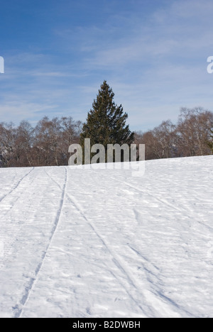 Snowmobile track marks on the snow of frozen river Stock Photo - Alamy