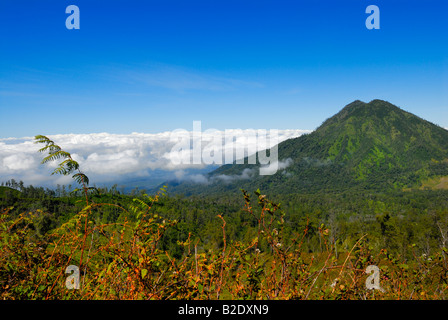 View on mountain and clouds from plane Stock Photo - Alamy