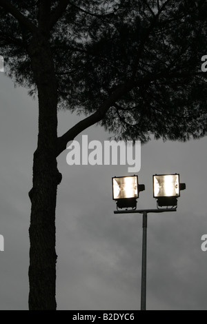 two spot flood lights by tree at night Stock Photo - Alamy