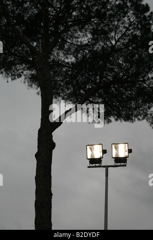 two spot flood lights by tree at night Stock Photo - Alamy