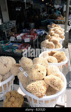 Sponges for sale at Tarpon Springs, Florida, USA Stock Photo - Alamy