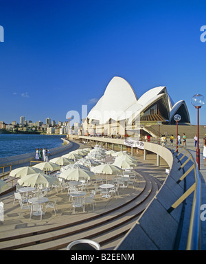 The Opera House and Terrace Cafe Sydney New South Wales Australia Stock ...