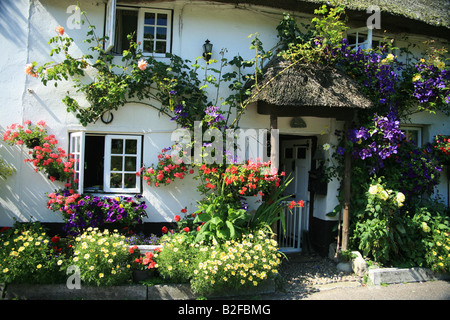 Beautiful White painted cob and thatch cottages with summer flower ...