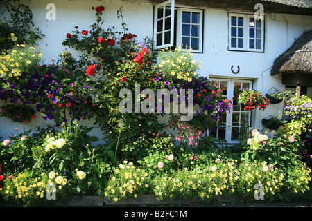 Beautiful White painted cob and thatch cottages with summer flower ...