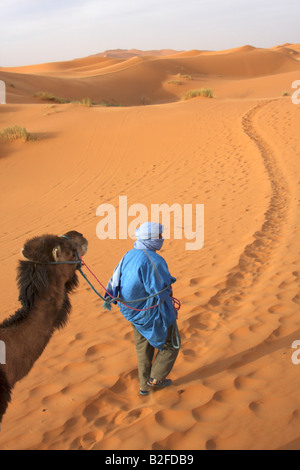 Man leading camel through desert Stock Photo - Alamy