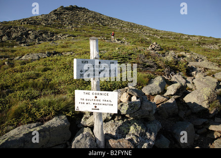 Hikers on Caps Ridge Trail during the summer months Located in the ...