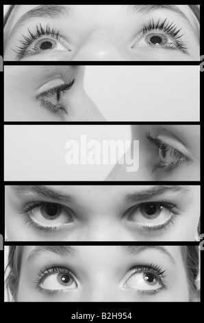 A selection of eyes looking in different directions Stock Photo - Alamy