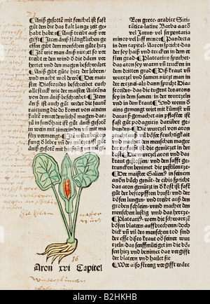 Herb garden - from 15th century manuscript 'Opus Ruralium Commodorum ...
