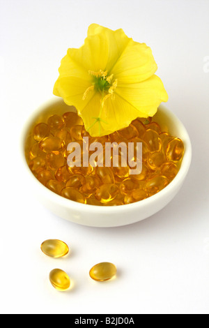 A bowl of evening primrose oil with blooming Oenothera biennis plant on ...