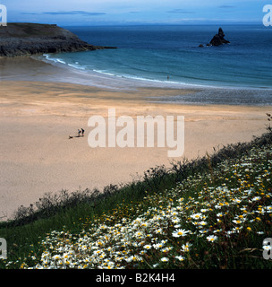 Broadhaven beach in Summer Stock Photo - Alamy