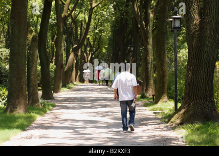 People Walking Along Tree Lined Path Through The Green Park London ...