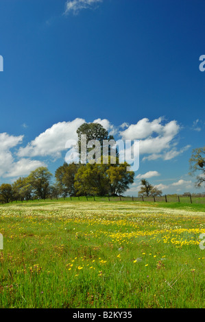 Springtime landscape along highway 40 in central California Stock Photo ...