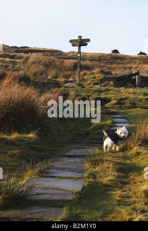 Autumn, Haworth countryside , Bronte Country Stock Photo - Alamy