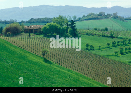 typical landscape, boschi di carrega, italy Stock Photo - Alamy