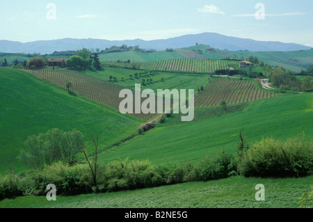typical landscape, boschi di carrega, italy Stock Photo - Alamy