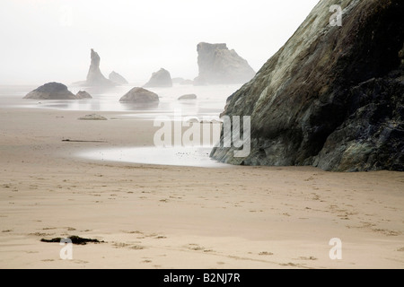 Face Rock beaches, Bandon, Oregon, United States of America (U.S.A ...