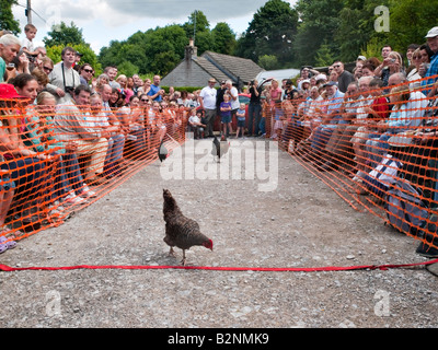 World Championship Hen Races 2008 Stock Photo - Alamy