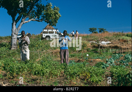 farmers in the field of agriculture. Angola Stock Photo - Alamy