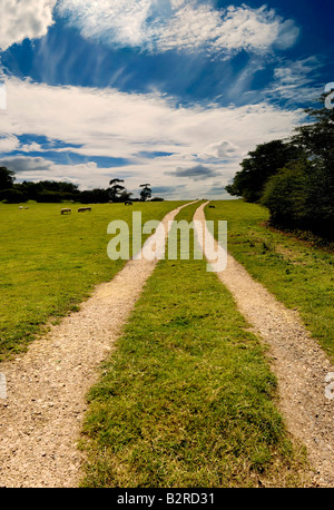 footpath across fields with moody sky Stock Photo - Alamy