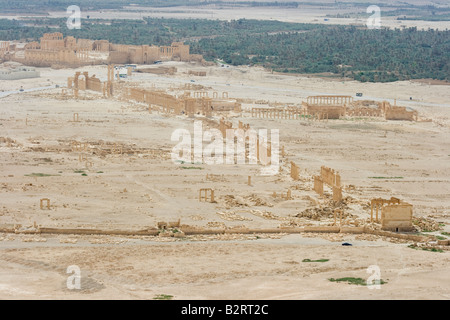 A view of the Roman ruins in Palmyra Syria Stock Photo - Alamy