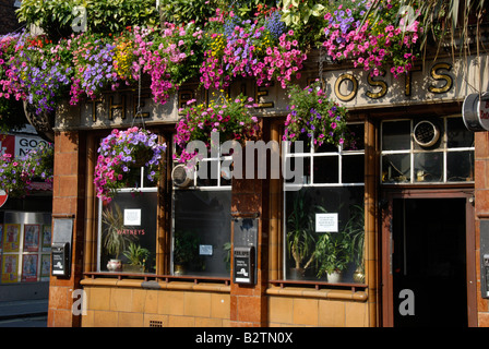 The Blue Posts pub in Berwick Street in Soho in London England UK Stock ...