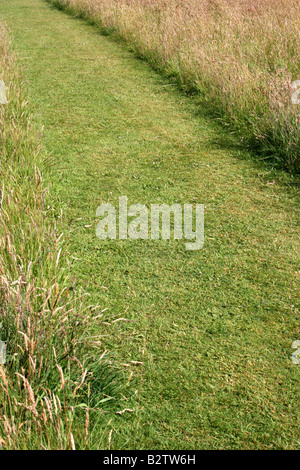 mown grass path, Devon, England Stock Photo - Alamy
