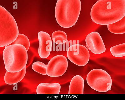 3d flow red blood cells iron platelets erythrocyte anemia. Realistic ...