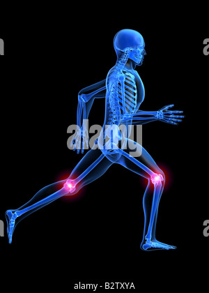 Anatomy of Human Spine Structure Stock Photo - Alamy