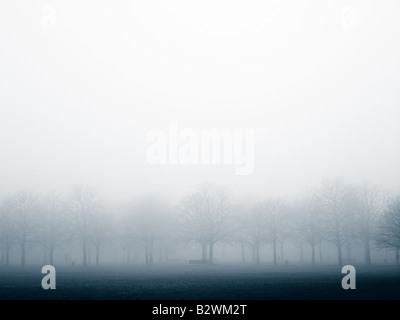 Greenwich park in the fog Stock Photo - Alamy