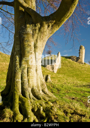 The ruined walls of Harbottle Castle in the Northumberland National ...