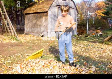 Boy raking leaves in a yard Stock Photo - Alamy