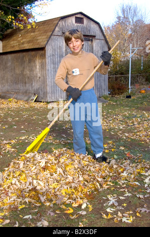 Boy raking leaves in a yard Stock Photo - Alamy