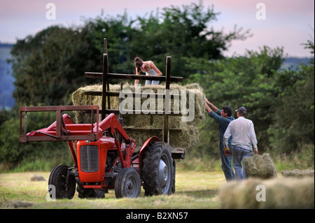 A FARMING FAMILY COLLECTING HAY AT DUSK IN THE TRADITIONAL STYLE IN ...