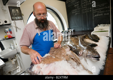 Fresh fish display at local fishmonger London England UK Stock Photo ...