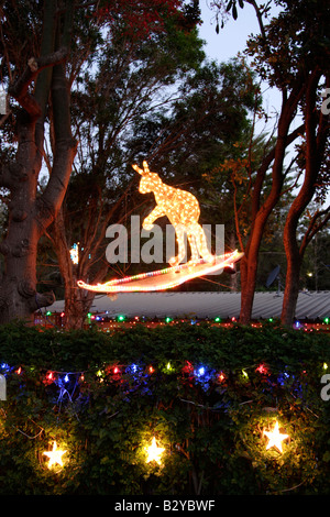 Blue and white christmas trees neon lights bokeh sparse on black ...